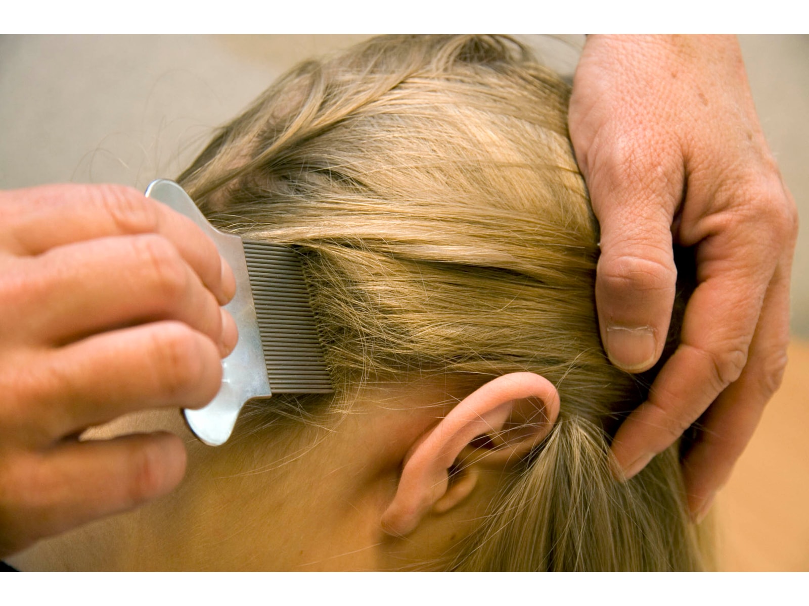 Hoofdluis - Kindcentrum Willibrord